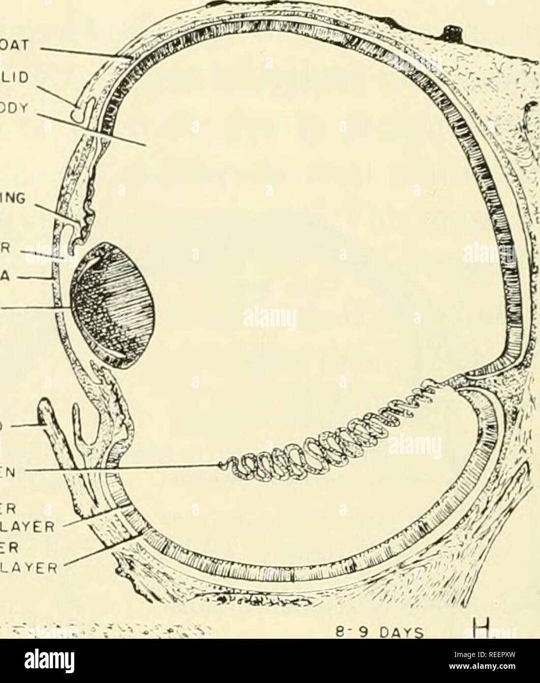 Marginal photos hi-res stock photography and images - Alamy