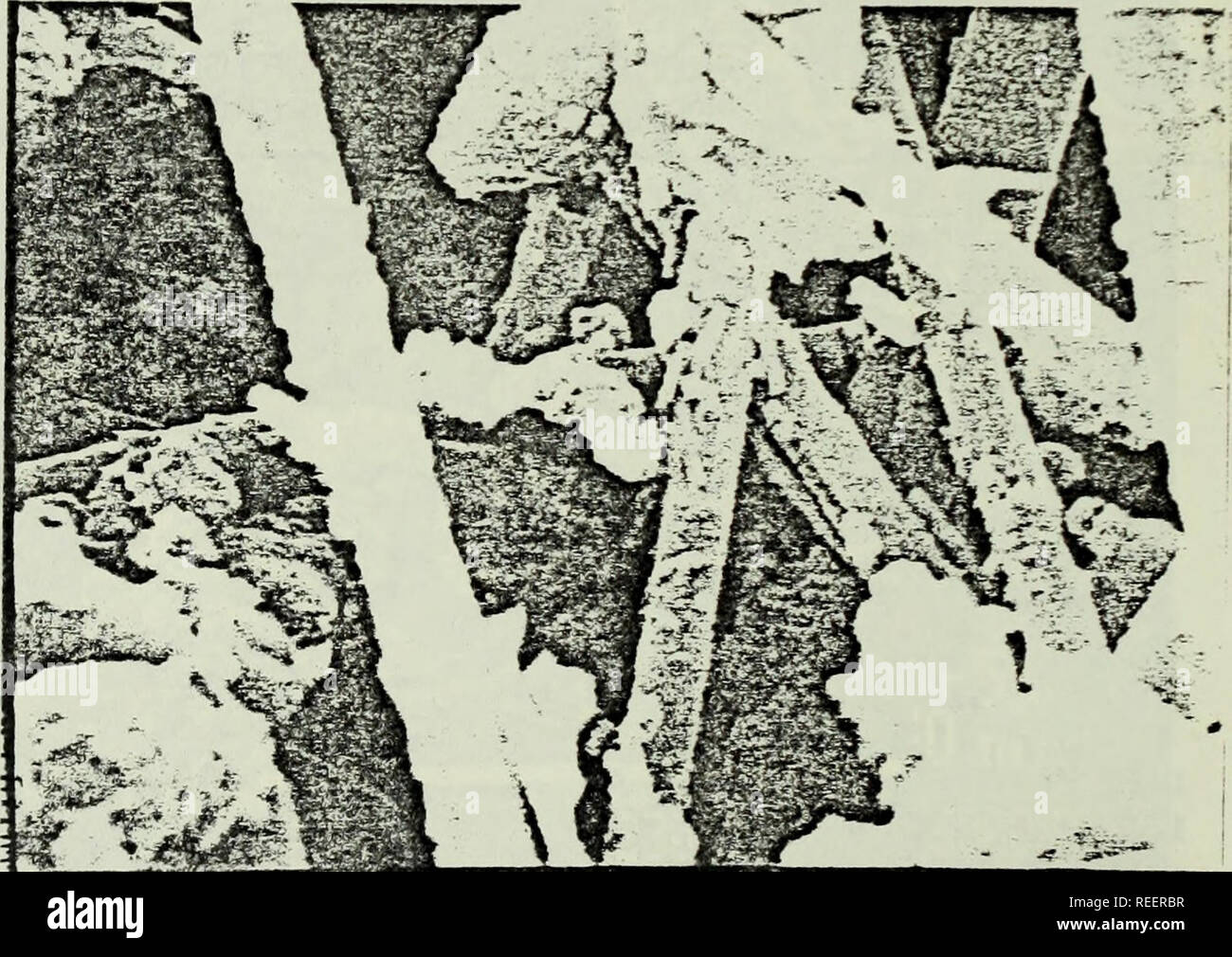 . Comparison of inhalable particulate and total suspended particulate ...