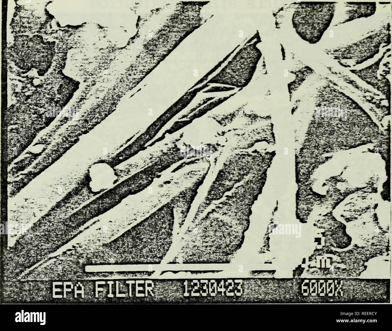 . Comparison of inhalable particulate and total suspended particulate ...