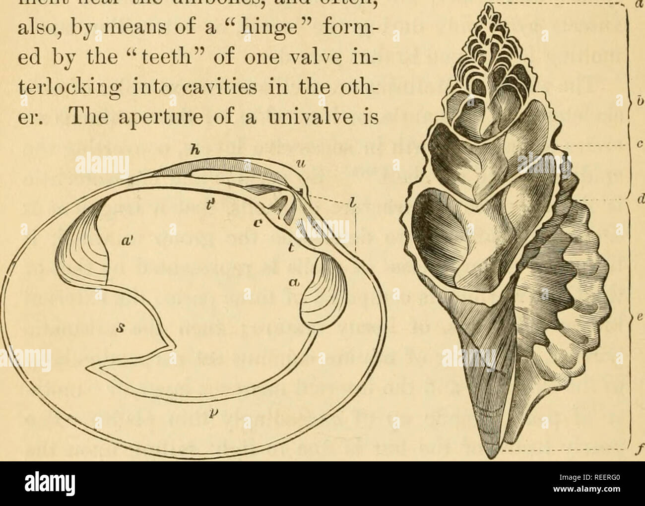 Terlocking hi-res stock photography and images - Alamy