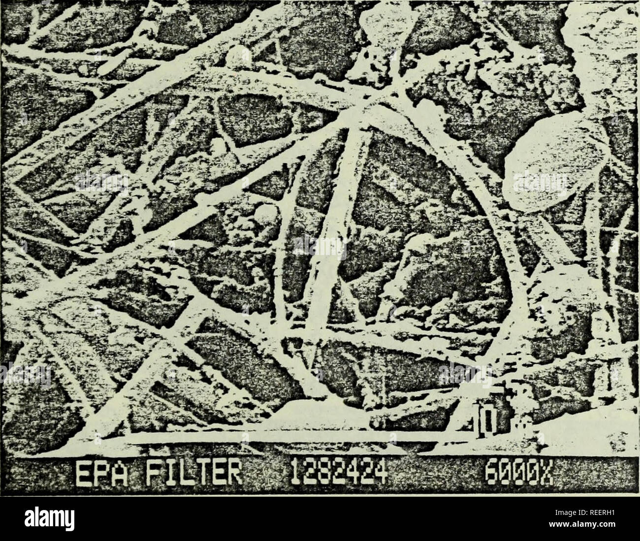 . Comparison of inhalable particulate and total suspended particulate ...