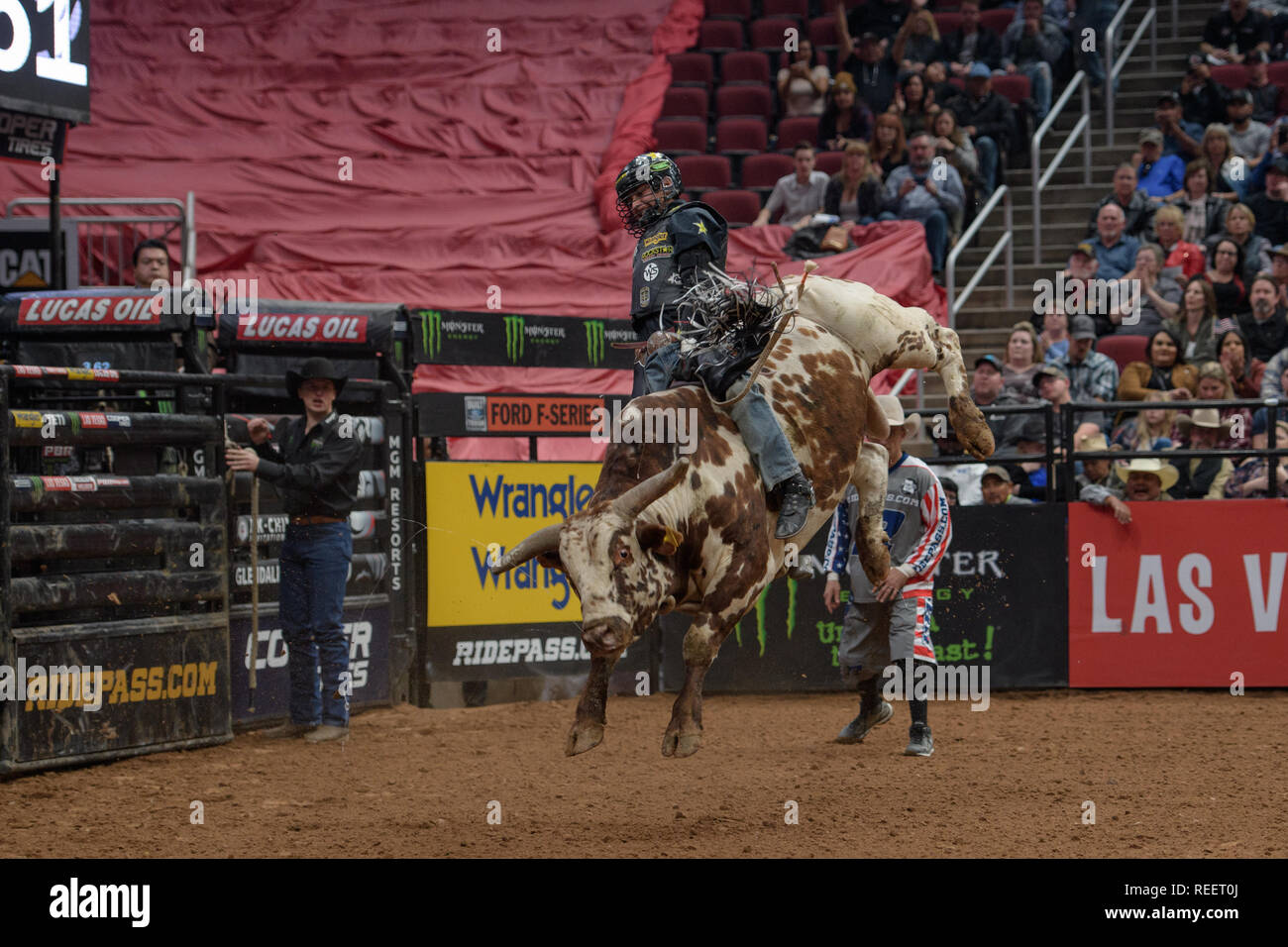 Pbr bull jumping hi-res stock photography and images - Alamy