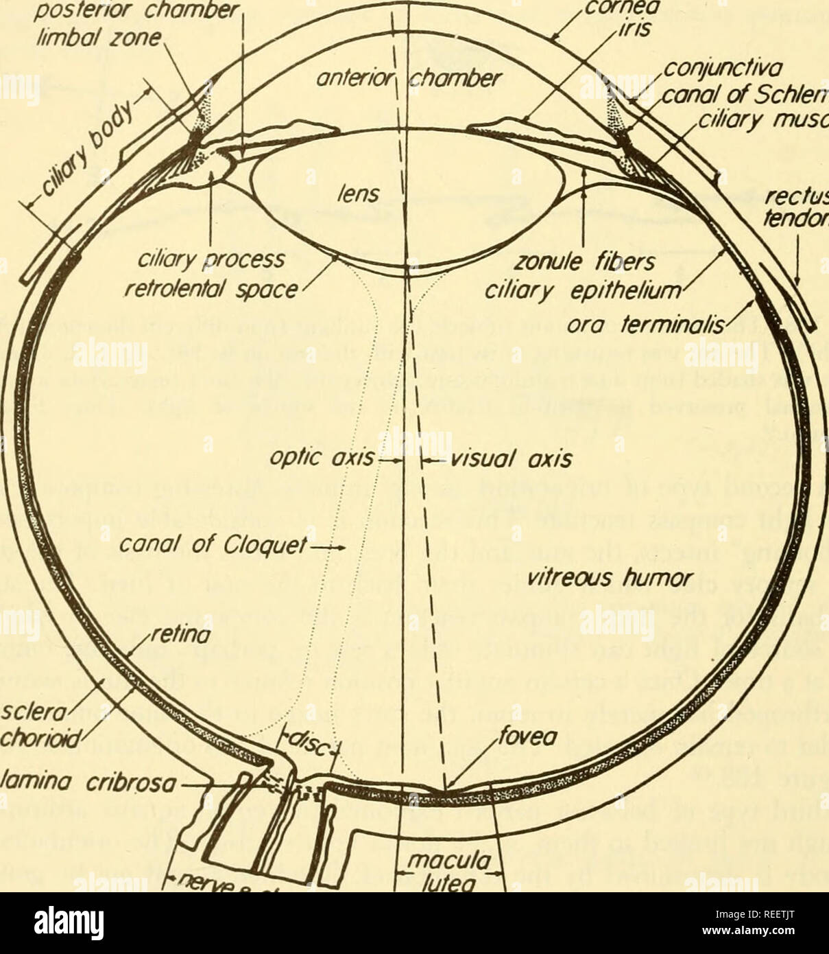 . Comparative animal physiology. Physiology, Comparative; Physiology ...