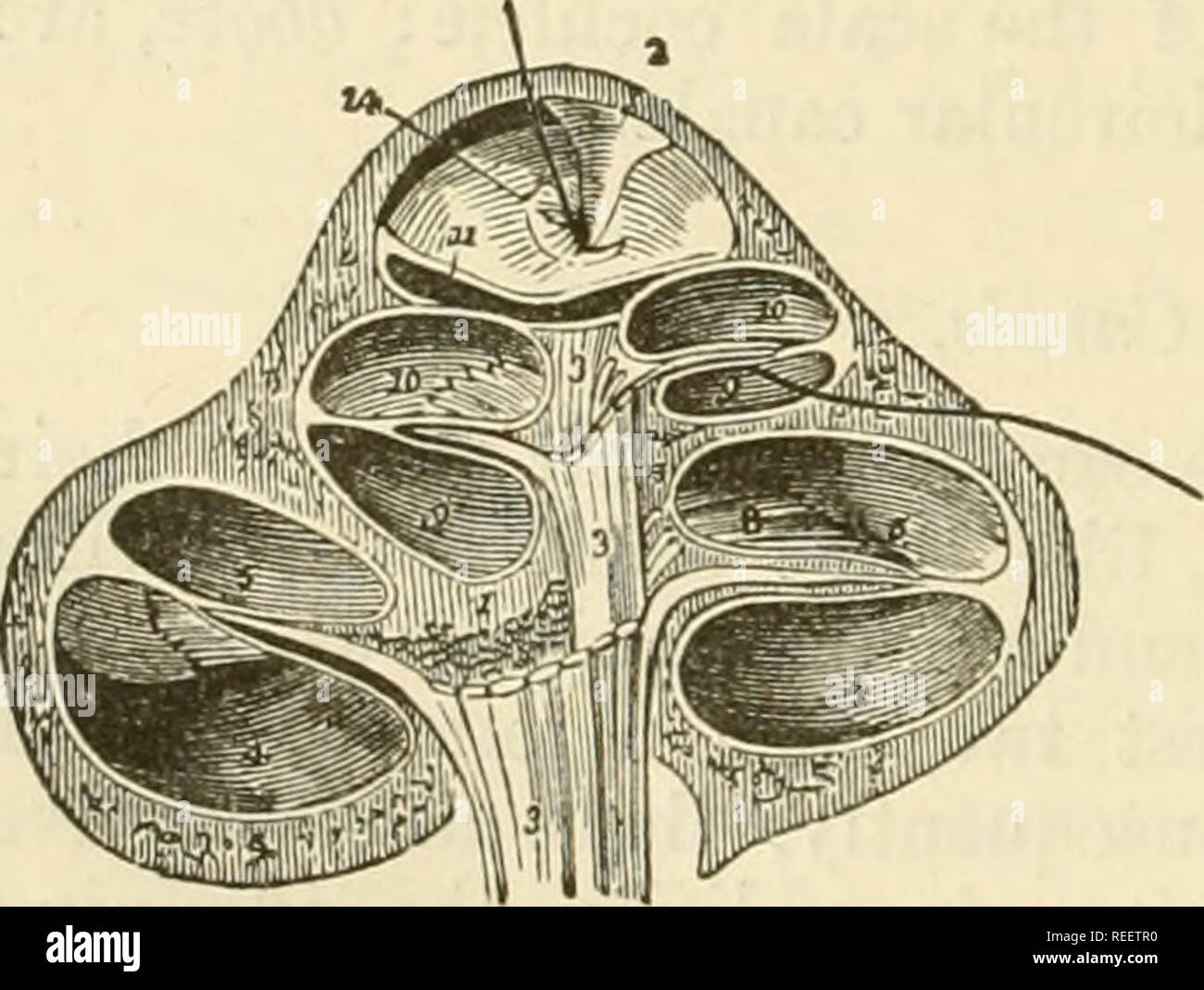 Conical sections hi-res stock photography and images - Alamy