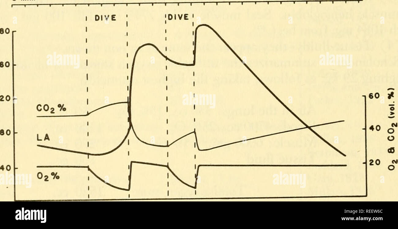. Comparative animal physiology. Physiology, Comparative; Physiology ...
