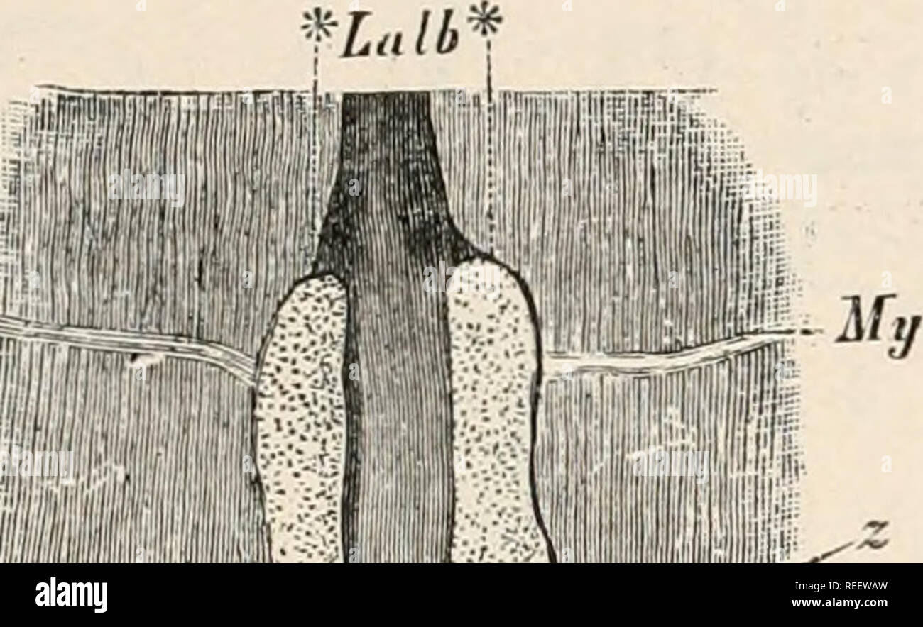 Jp parker hi-res stock photography and images - Alamy