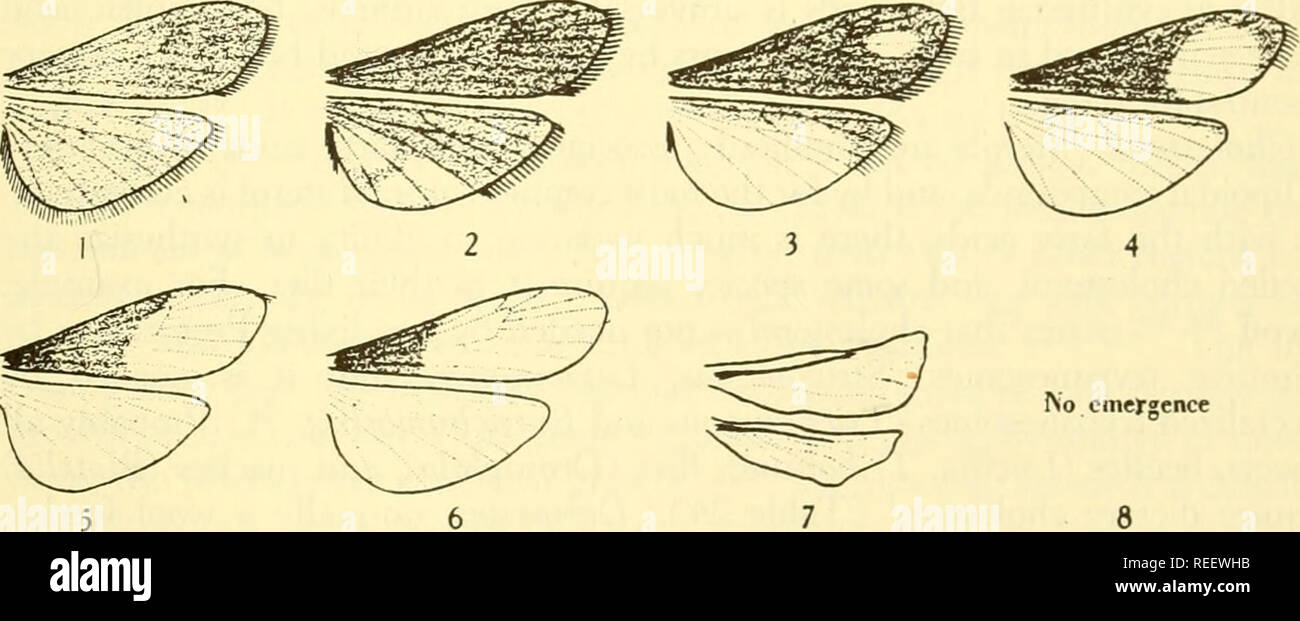 . Comparative animal physiology. Physiology, Comparative; Physiology ...