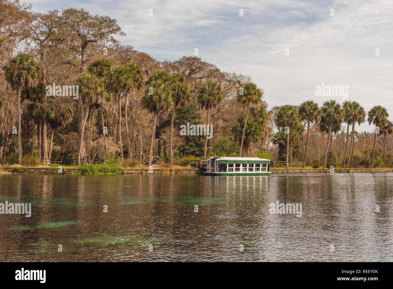 Glass Bottom Boat Silver Springs State Park Ocala, Florida USA Stock ...