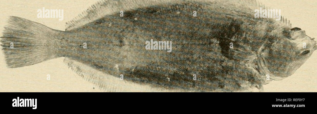 The blind side family hi-res stock photography and images - Alamy