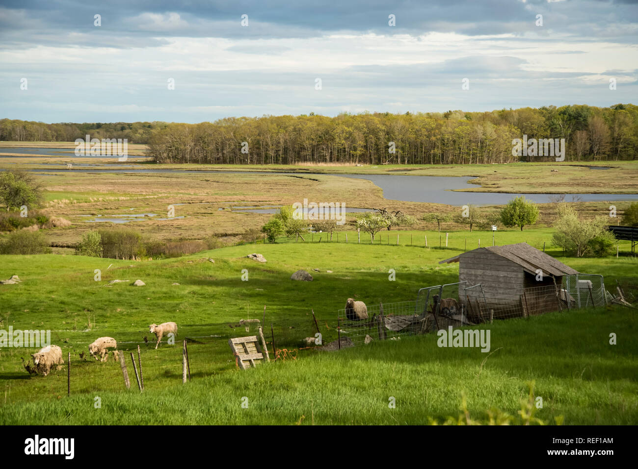 Maine farmland hi-res stock photography and images - Alamy