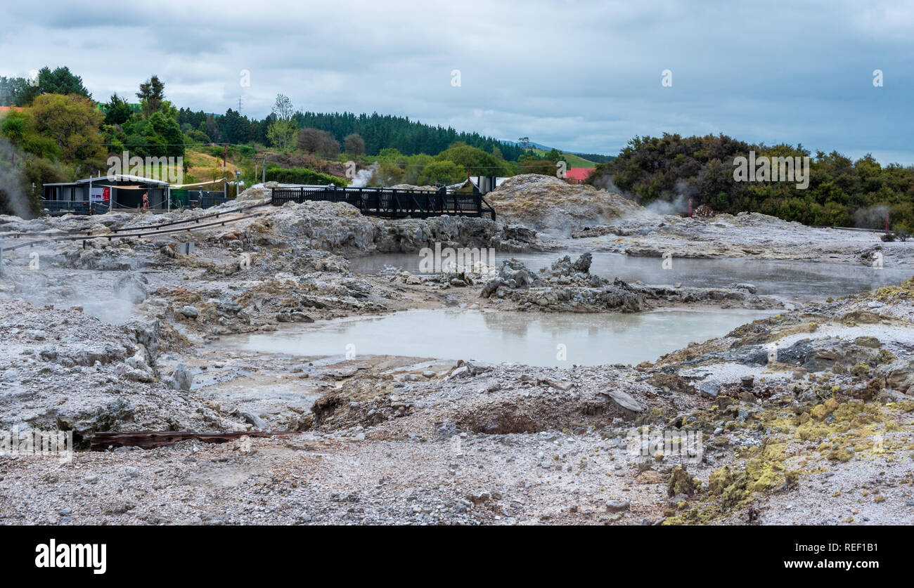 Hells gate geothermal park rotorua hi-res stock photography and images ...