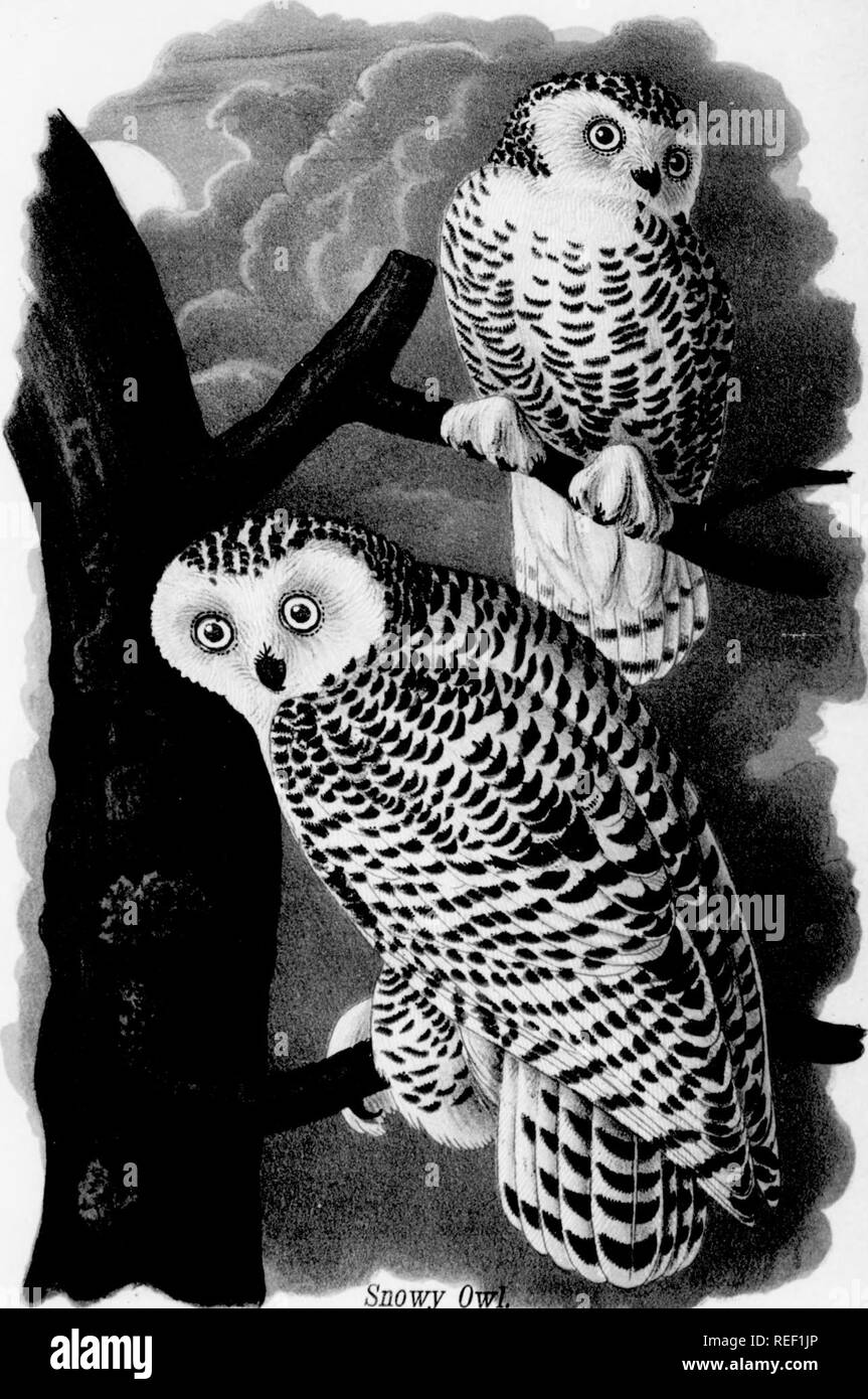 Kame field hi-res stock photography and images - Alamy