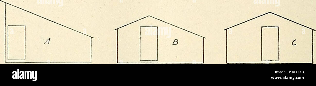 . Commercial poultry raising; a thoroughly practical and complete ...