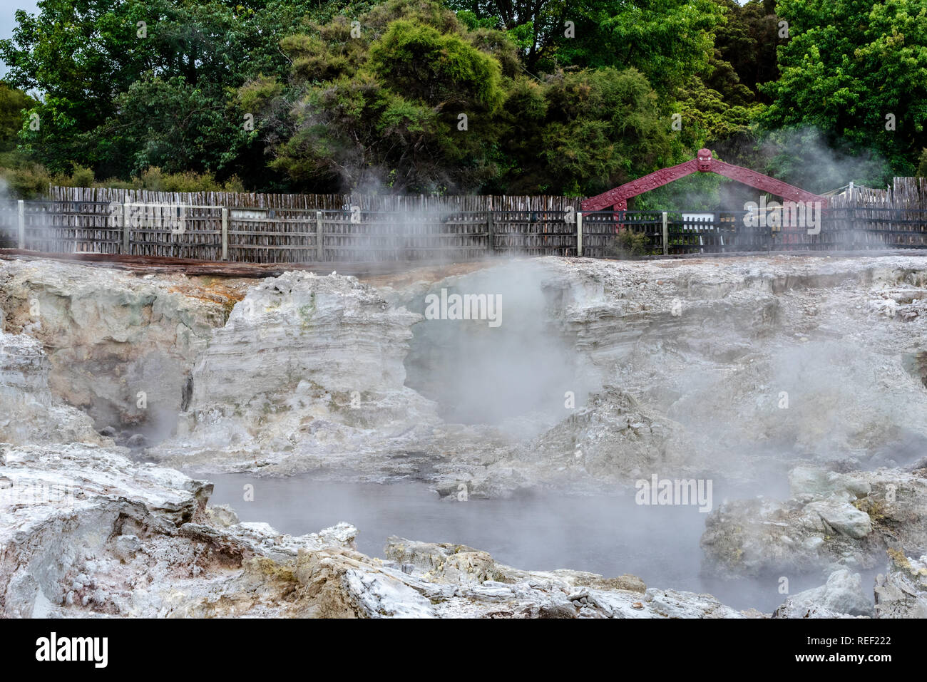 Hells gate geothermal park new zealand hi-res stock photography and ...