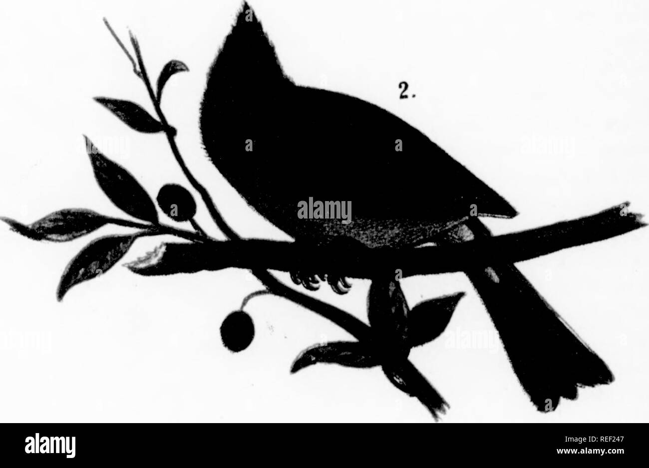 Benjamin harry warren hi-res stock photography and images - Alamy