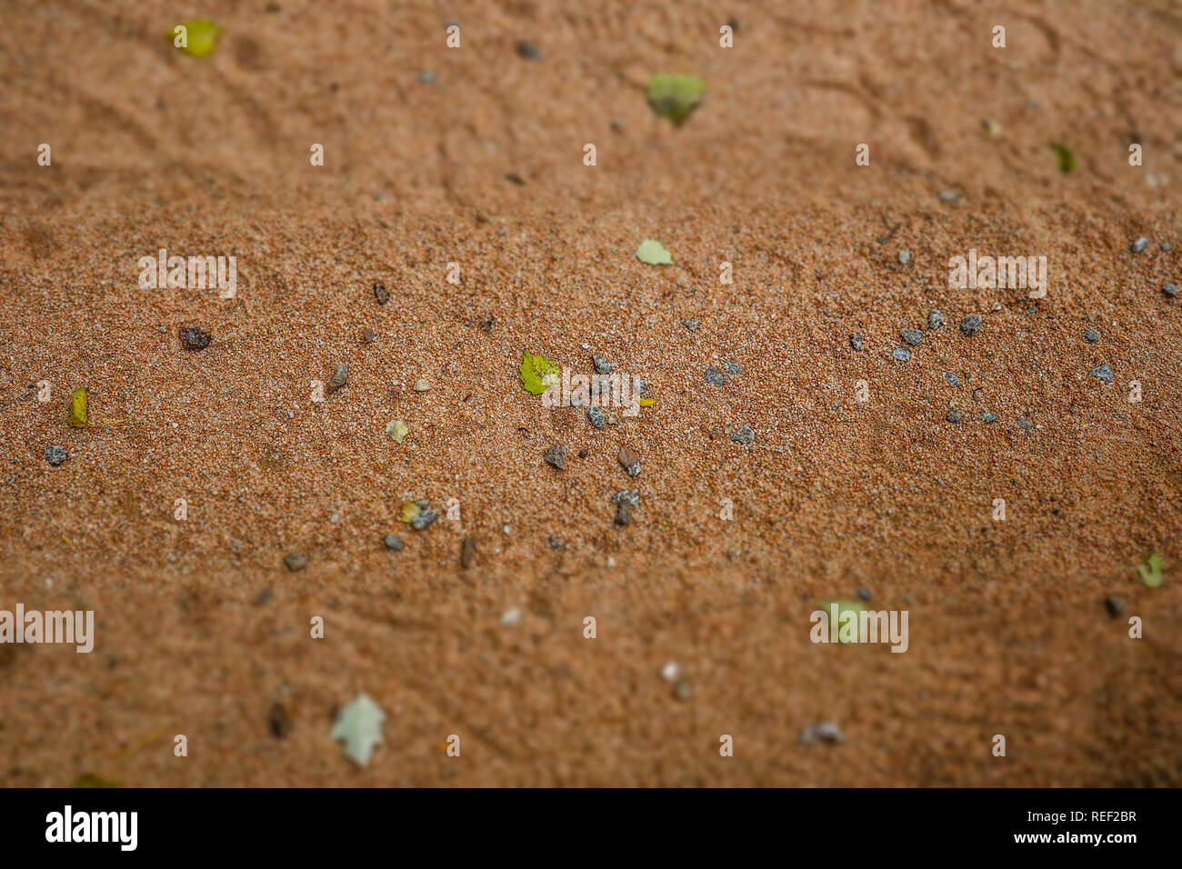 Sand leaves hi-res stock photography and images - Alamy