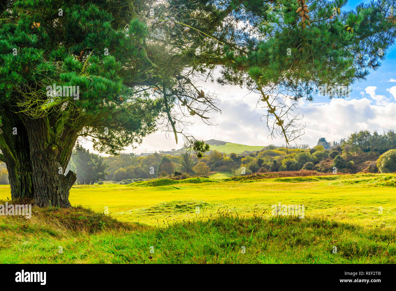 Arklow hi-res stock photography and images - Alamy
