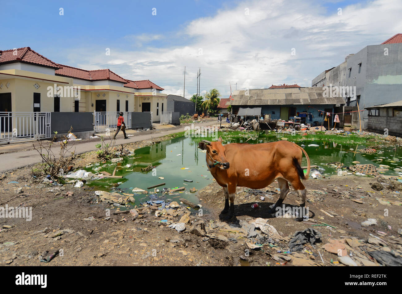 Poor environment hi-res stock photography and images - Alamy