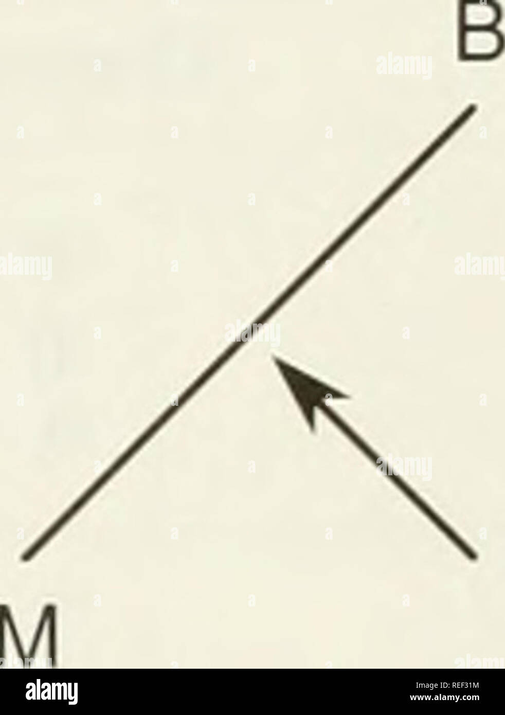 Wagner classification hi-res stock photography and images - Alamy