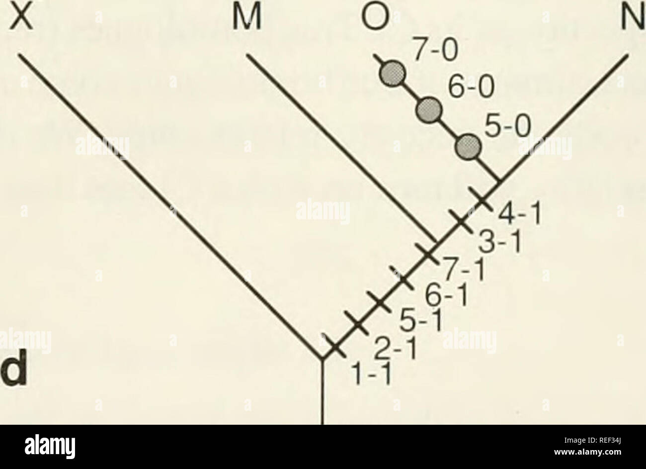 Phylogenetic trees hi-res stock photography and images - Alamy