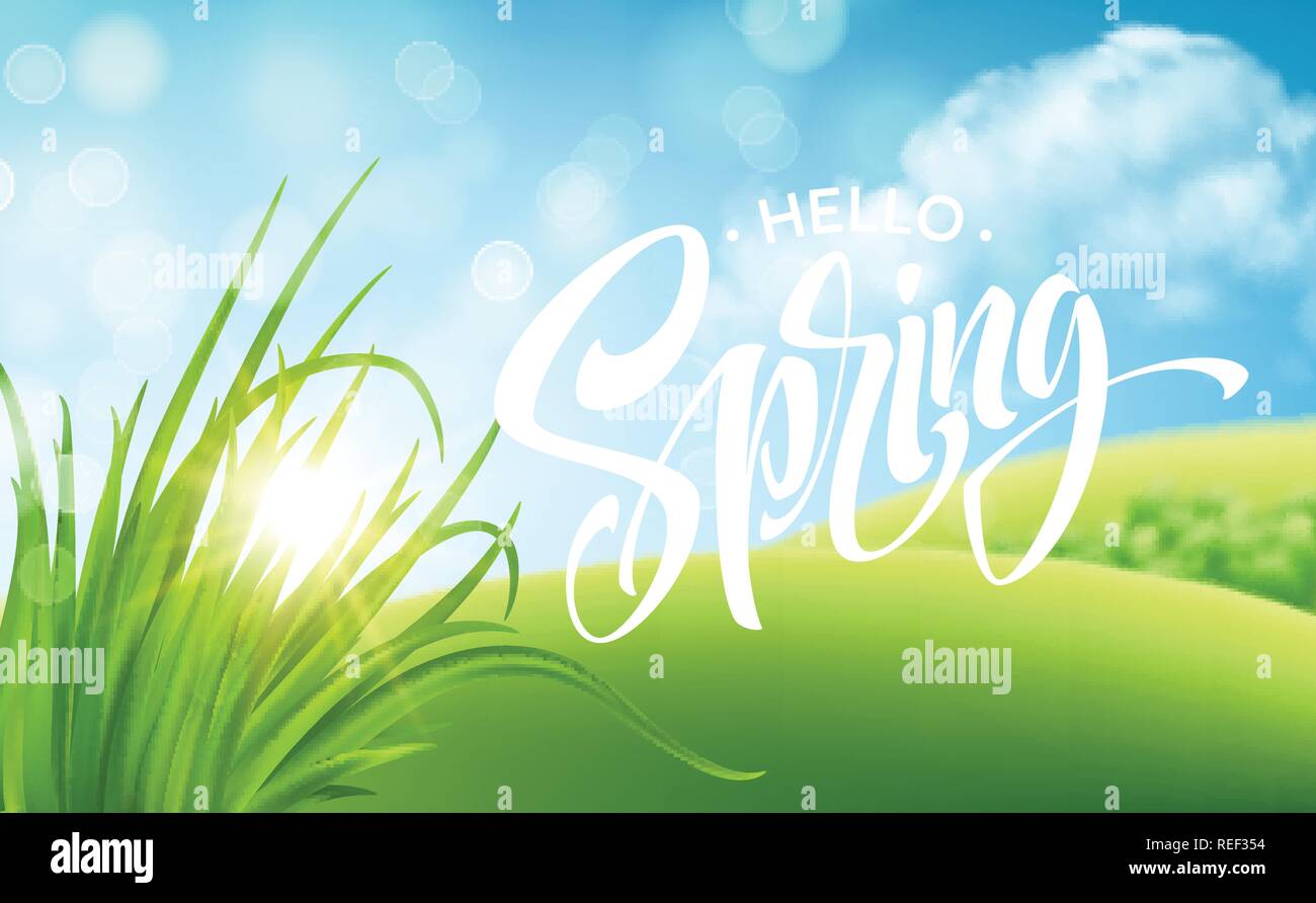 Frash Spring green grass landscape background with handwriting ...