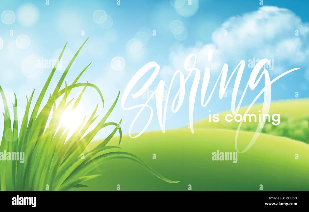 Frash Spring green grass landscape background with handwriting ...