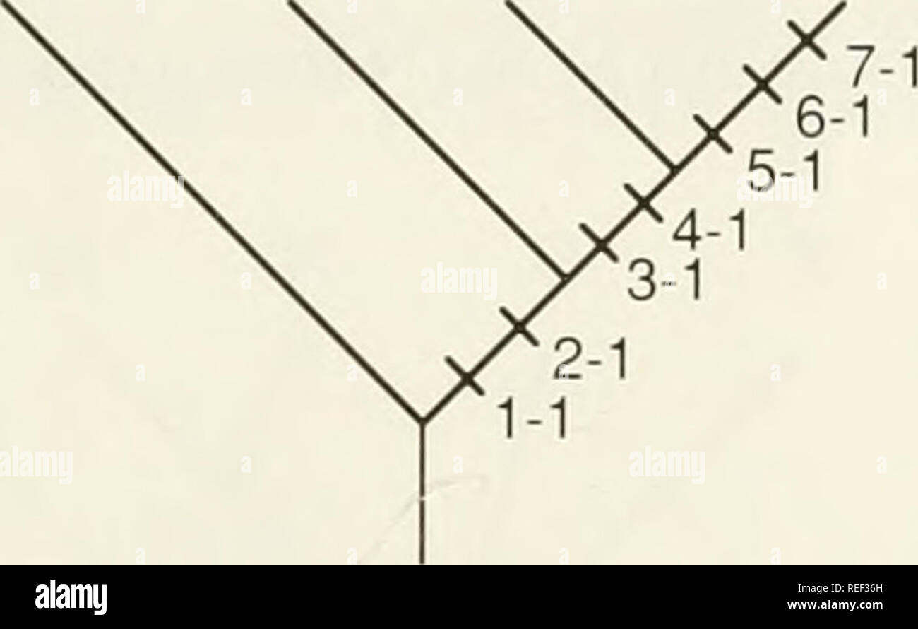 Outgroup hi-res stock photography and images - Alamy