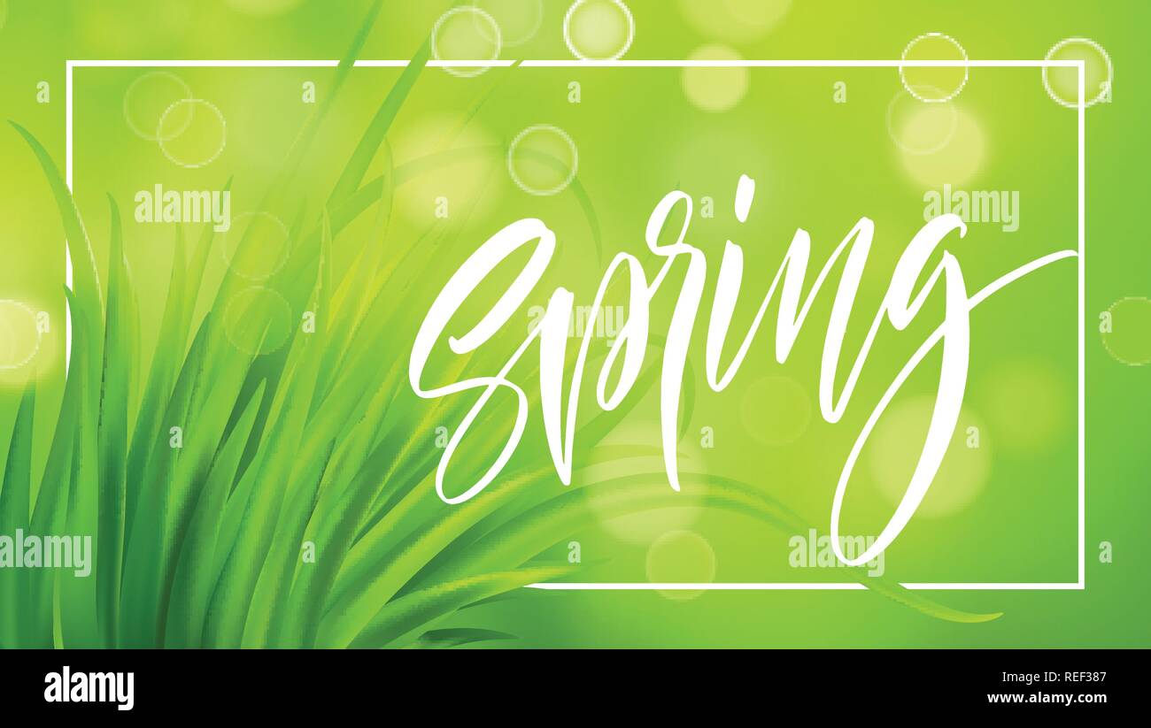 Frash Spring green grass background with handwriting lettering. Vector ...