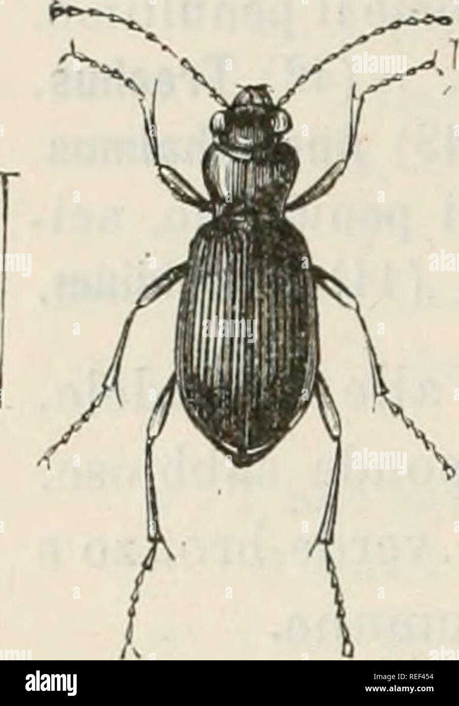 Alberi umidi hi-res stock photography and images - Alamy