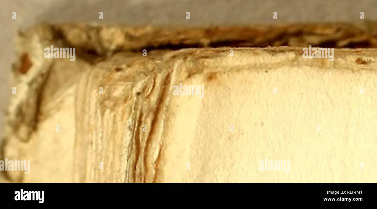 Toqui mapuche hi-res stock photography and images - Alamy