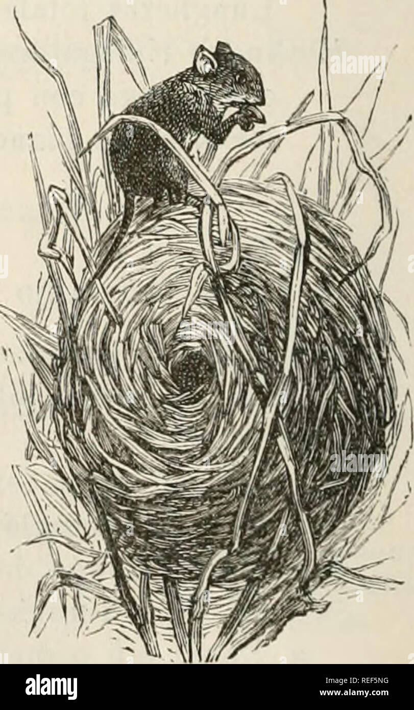 Tempi storici hi-res stock photography and images - Alamy