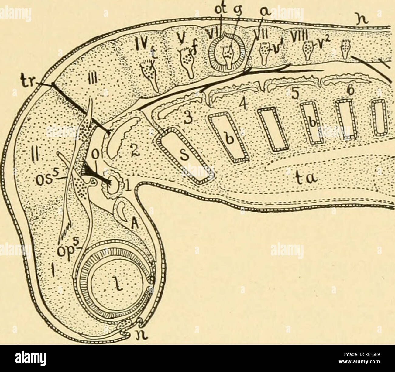 Metameric hi-res stock photography and images - Alamy