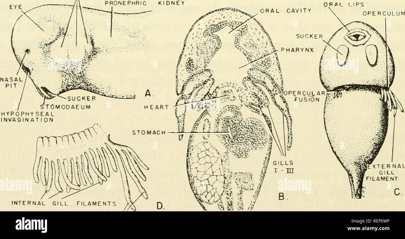 Filament photos hi-res stock photography and images - Alamy