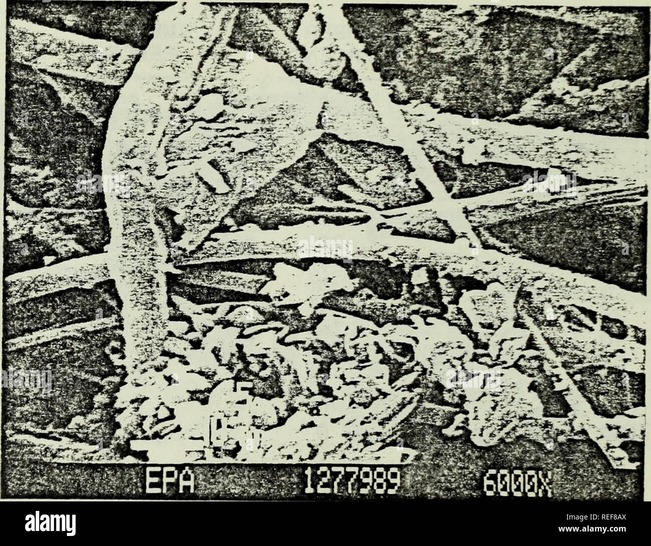 1200x High Resolution Stock Photography and Images - Alamy