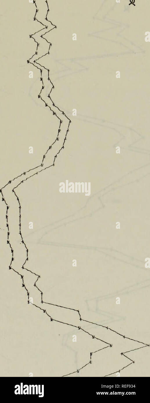 Lz 38 hi-res stock photography and images - Alamy