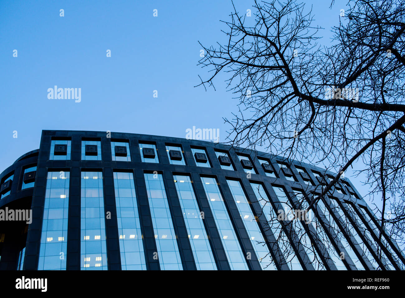 Modern office building with tree branches framing it and cool tones ...