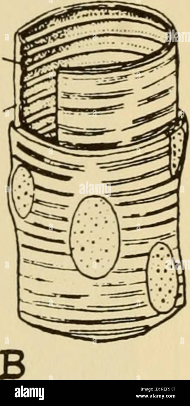 . The comparative physiology of respiratory mechanisms. Respiration ...