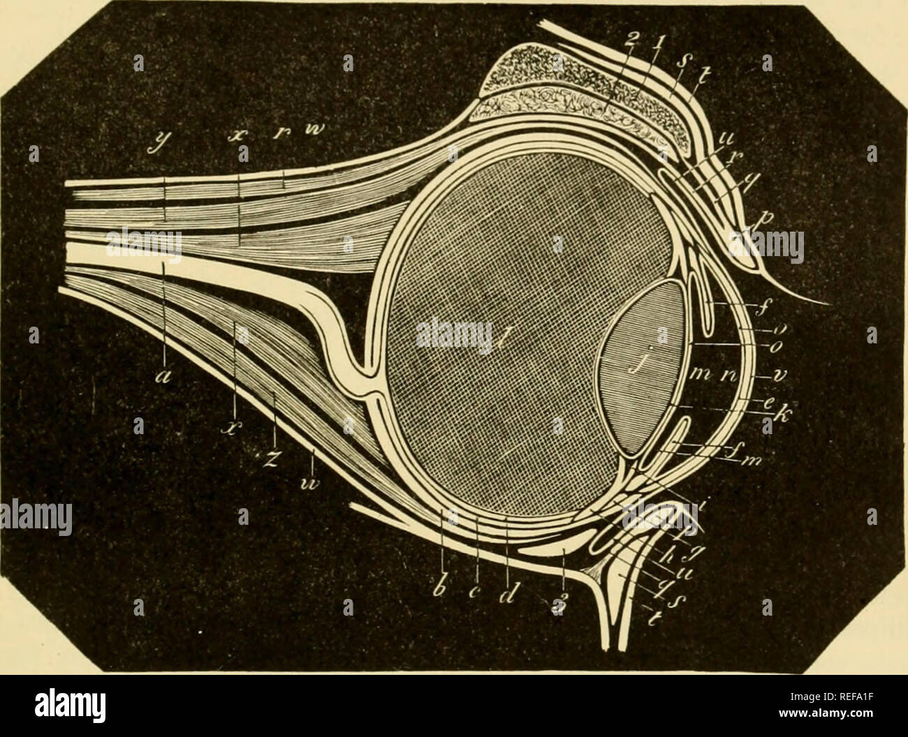 Orbital shell hi-res stock photography and images - Alamy