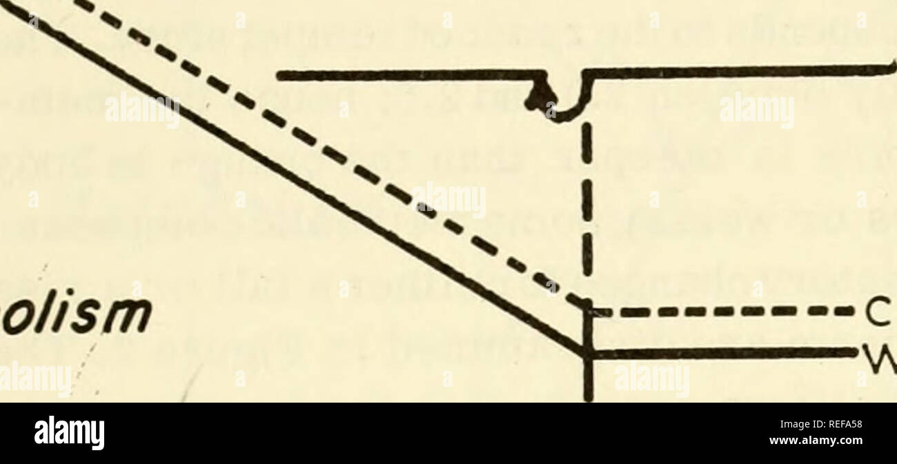 . Comparative physiology of temperature regulation. Body temperature ...