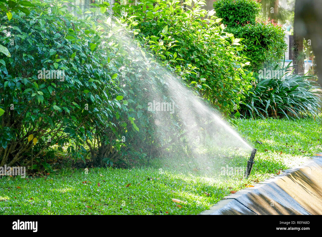 Springer water system in the garden Stock Photo - Alamy