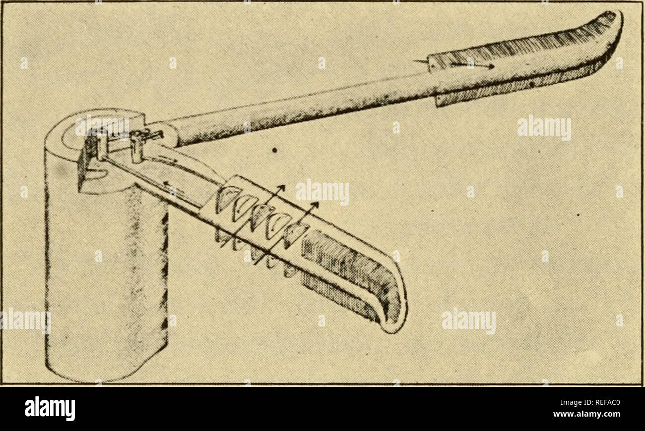 . The comparative physiology of respiratory mechanisms. Respiration. 40 ...