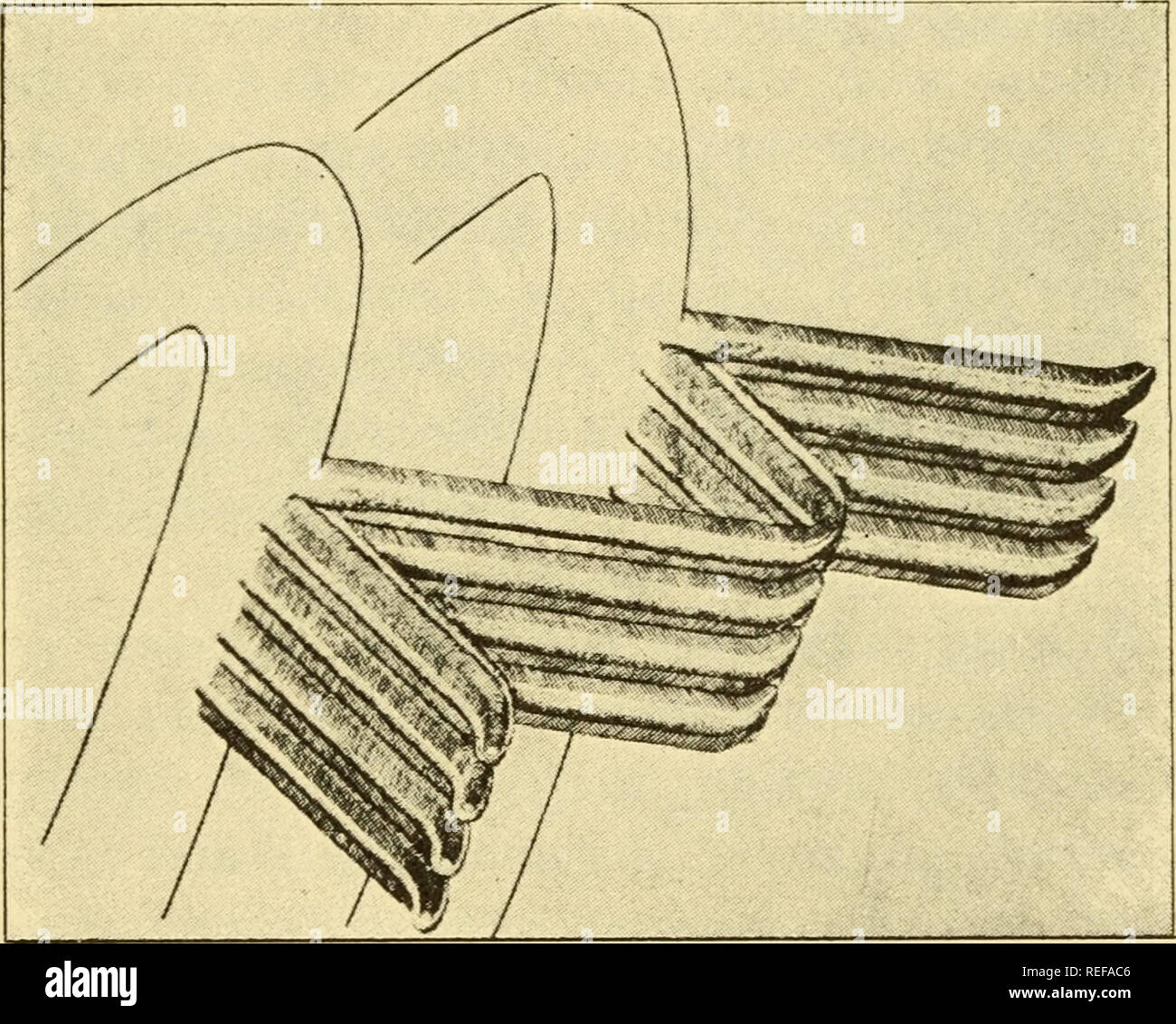 Counter current blood flow hi-res stock photography and images - Alamy