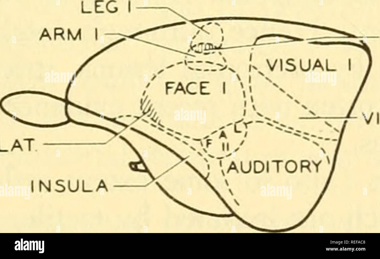 . Comparative animal physiology. Physiology, Comparative; Physiology ...