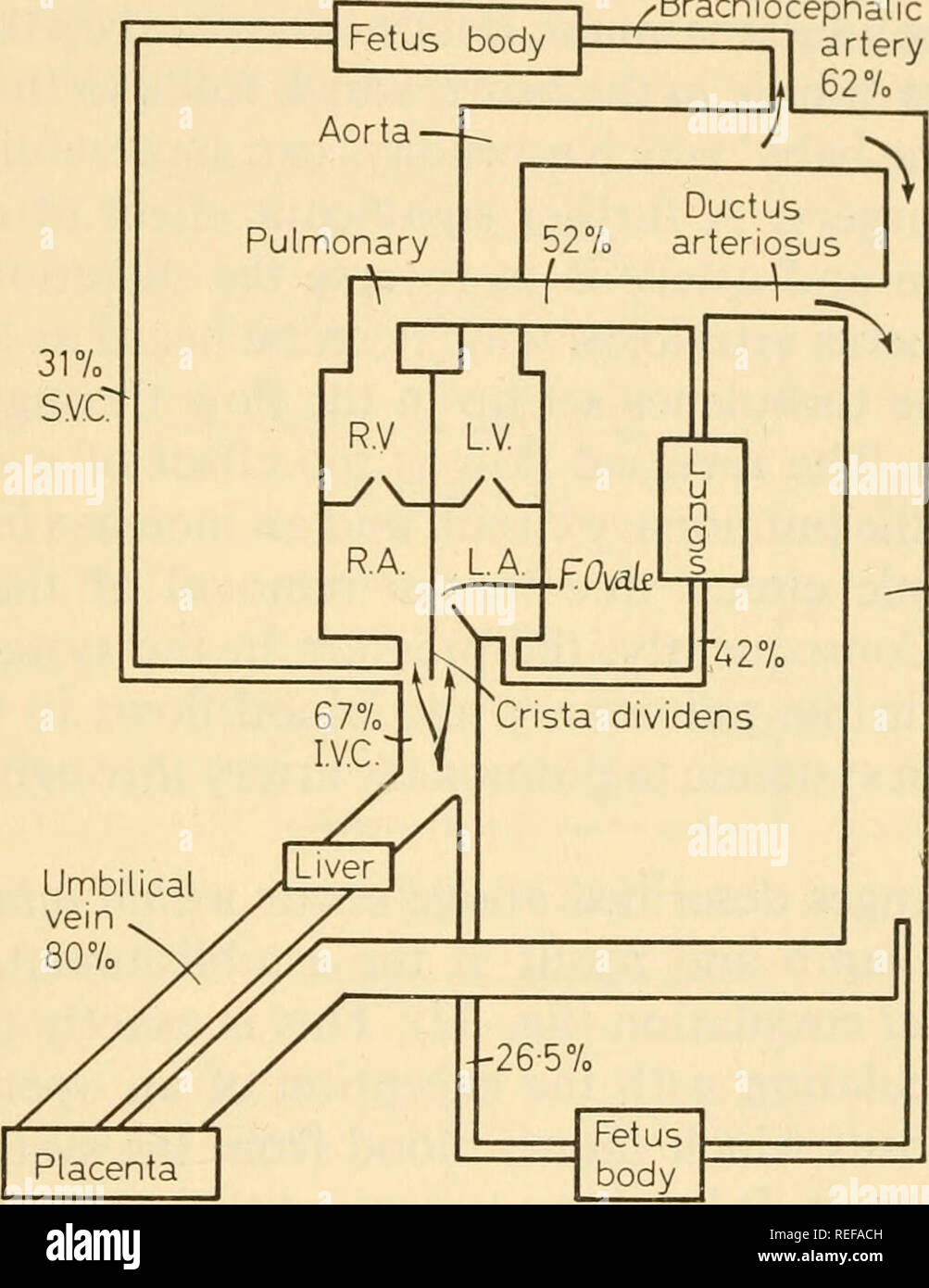 . Comparative physiology of vertebrate respiration. Vertebrates ...