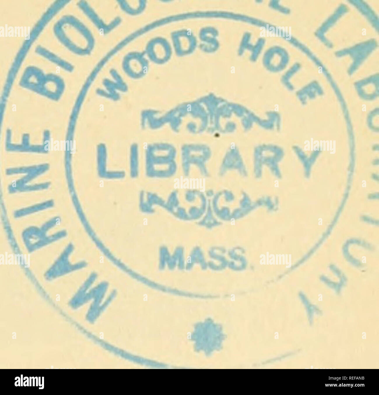 Contracted skeletal muscle hi-res stock photography and images - Alamy