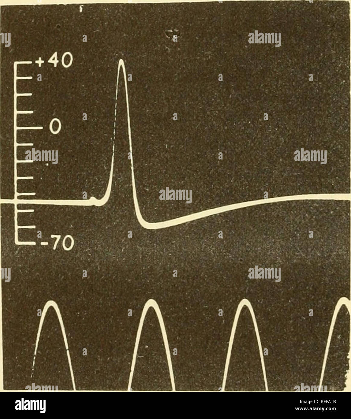 . Comparative animal physiology. Physiology, Comparative; Physiology ...