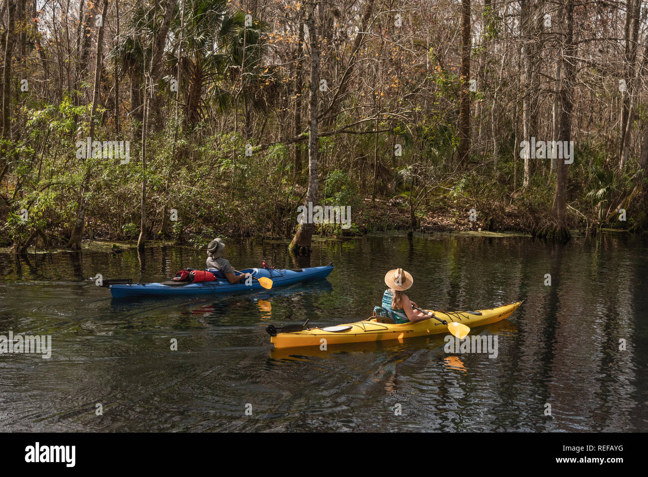 Kayaking the Silver Springs River Ocala, Florida USA Stock Photo - Alamy