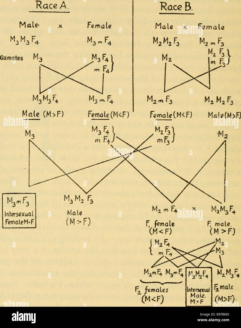 . Comparative physiology. Physiology, Comparative; Physiology ...