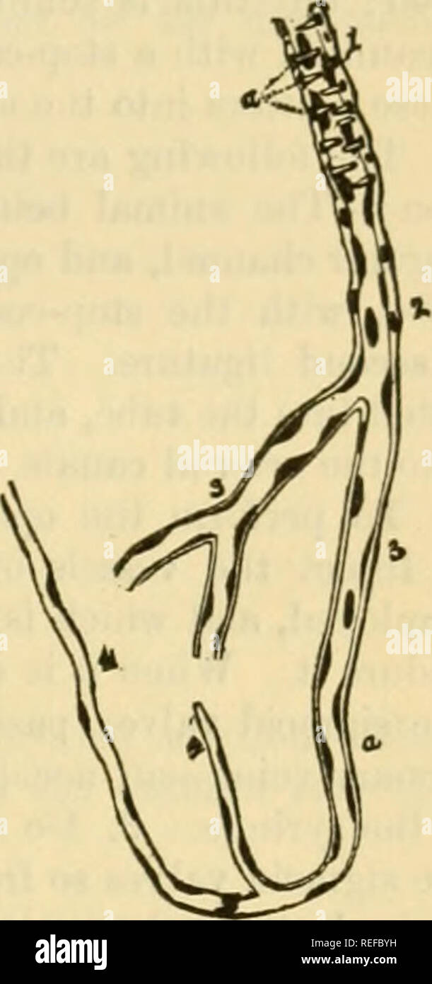 Tunica external hi-res stock photography and images - Alamy