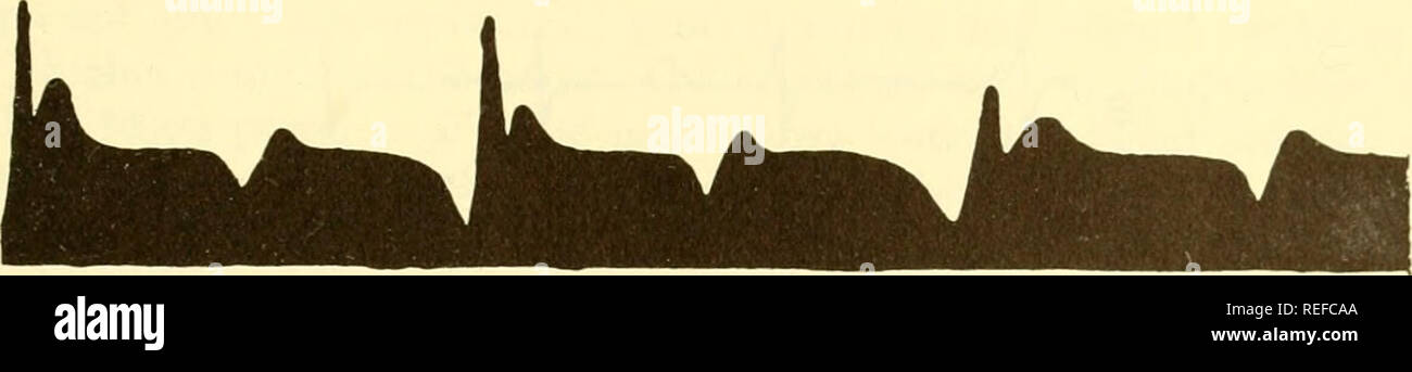 . Comparative animal physiology. Physiology, Comparative; Physiology ...